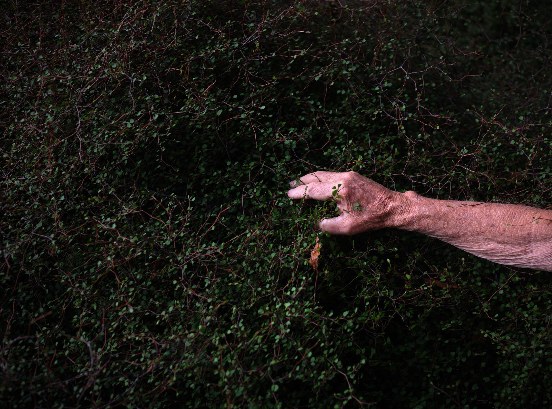 Sam Hartnett